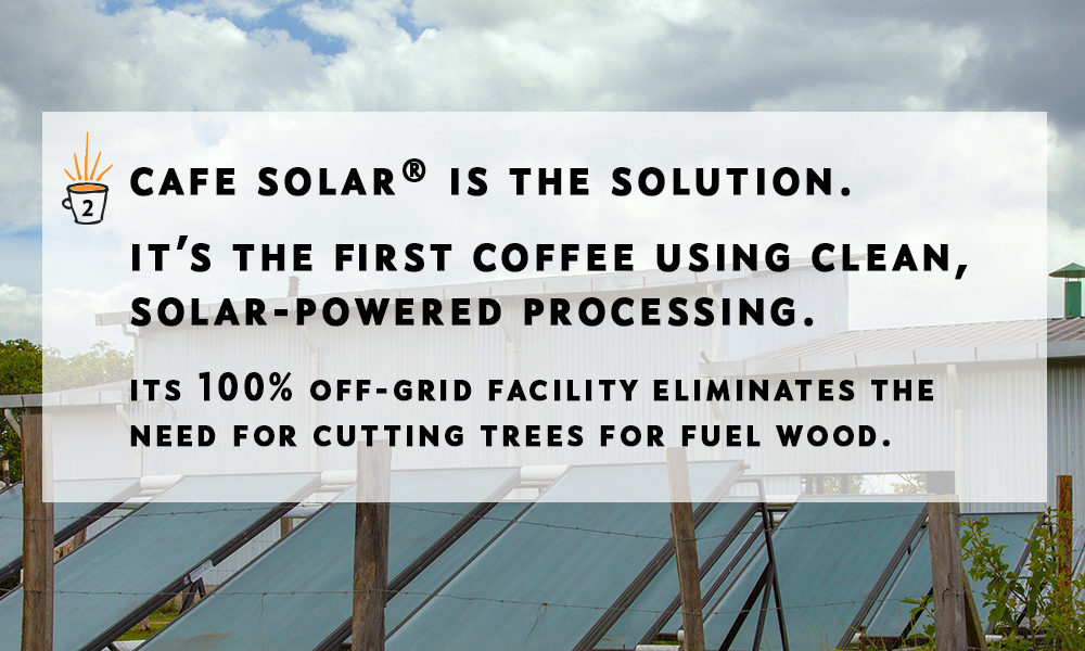 Merchants of Green Coffee