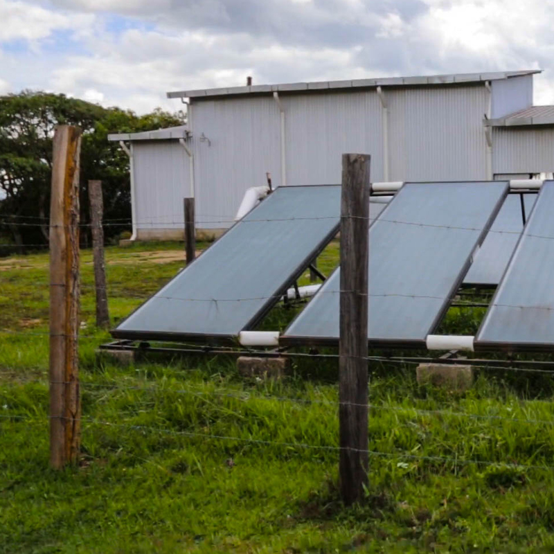 Merchants of Green Coffee